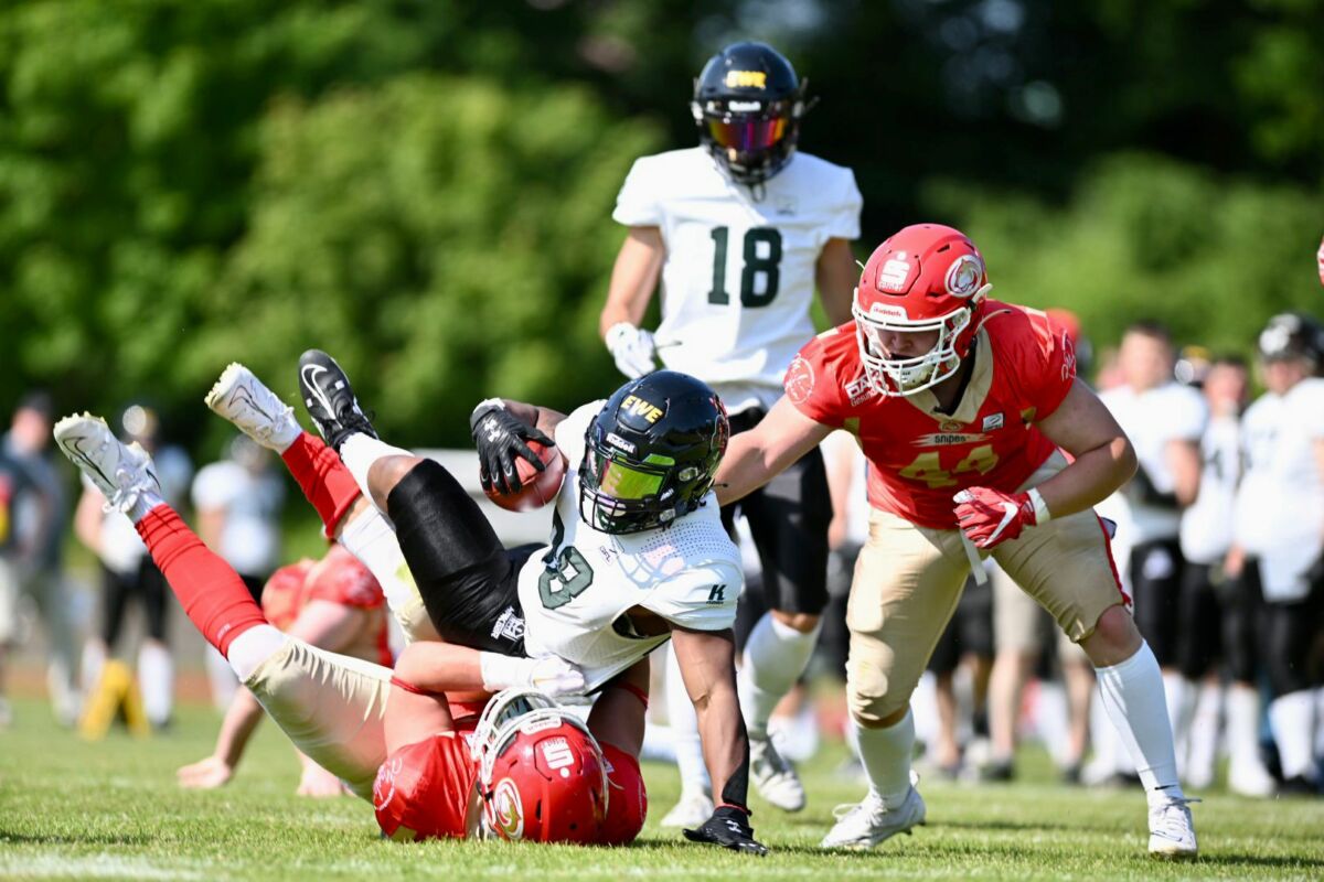 Knifflige Aufgabe für Lübeck Cougars | HL-SPORTS - Sport-News für die ...