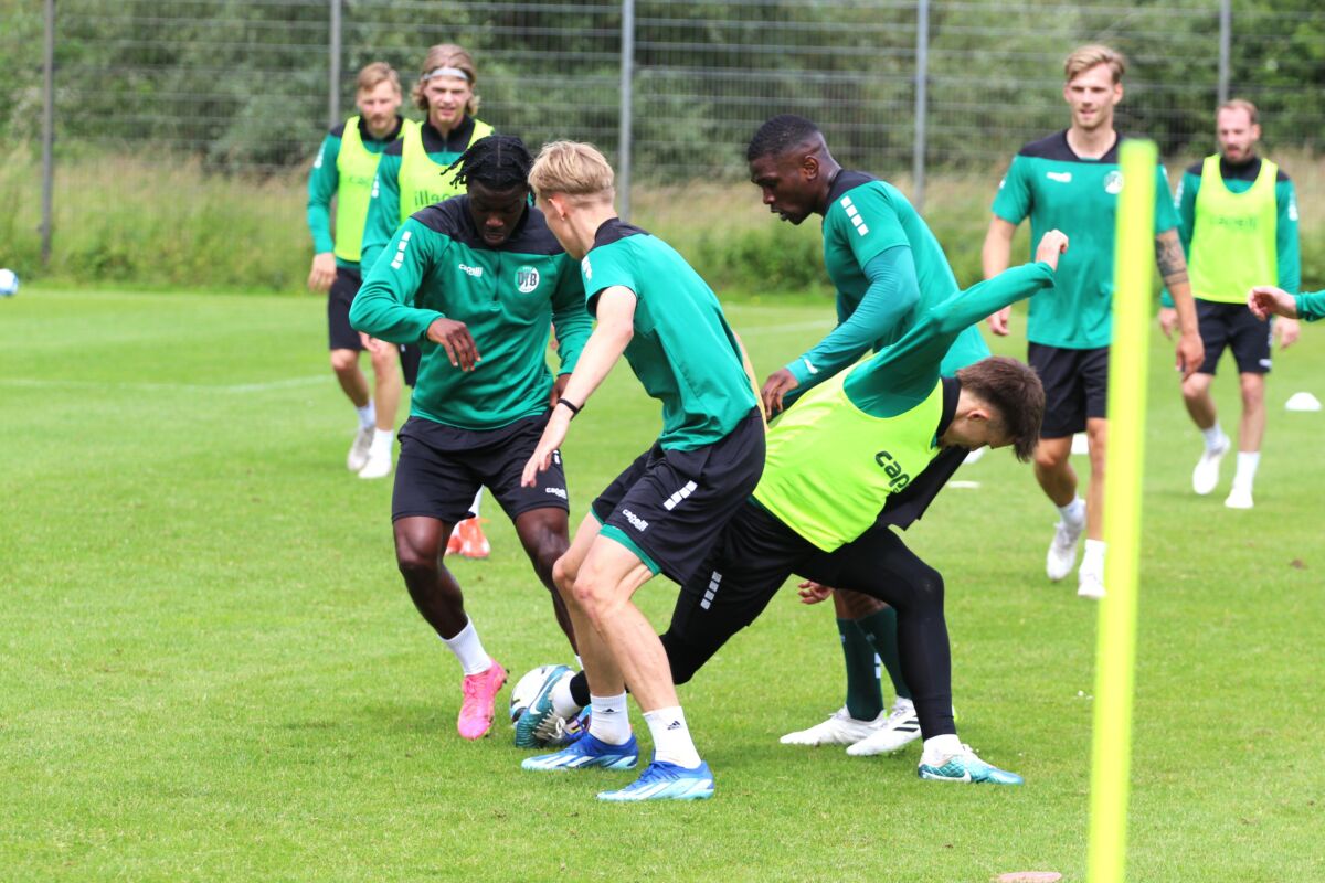 Probespieler im VfB-Training › HL-SPORTS
