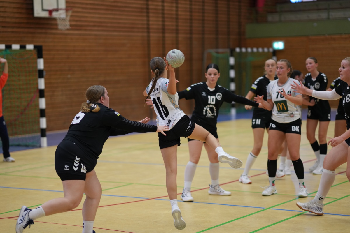 HSG Wagrien mit traditionellem OG-Cup der Jugend als Highlight › HL-SPORTS